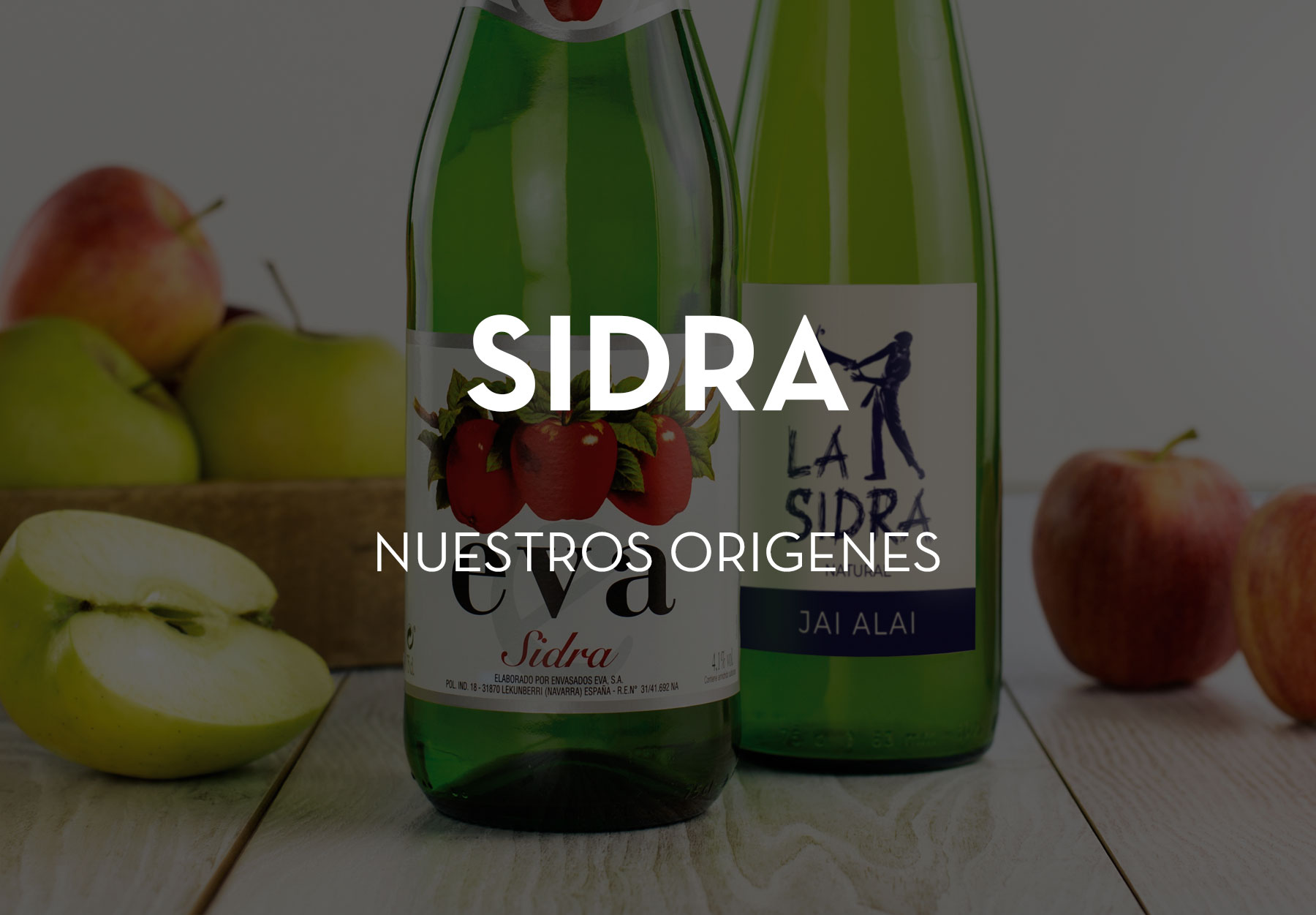 Productos | Eva Group
